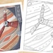 Juno Spacecraft Orbiting Jupiter - A Space Science Coloring Page for ...