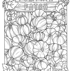 Pumpkin Patch II, Fall Autumn Coloring Page for Kids and Adults ...