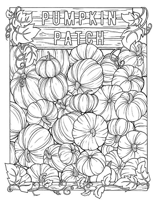 Pumpkin Patch II, Fall Autumn Coloring Page for Kids and Adults ...