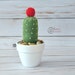 CROCHET PATTERN - SUCCULENTS Amigurumi / Cactus / Flower / Plants ...