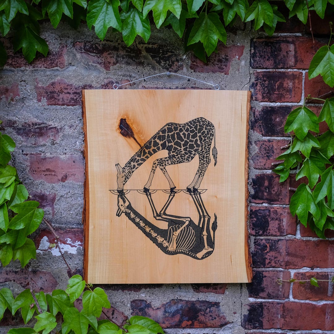 Anatomy of the Giraffe || Screenprinted Wood Slab || Wall Art - Etsy