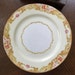 Antique Noritake Plates, Set of 5, Trojan Pattern, 603, Floral Vases ...