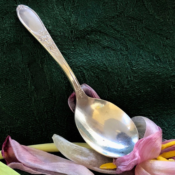 Antique Baby Spoons - Etsy