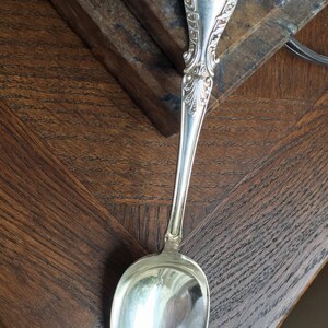 Antique Silver Plated Spoon, Rogers Hamilton, Raphael Pattern, C1891 ...