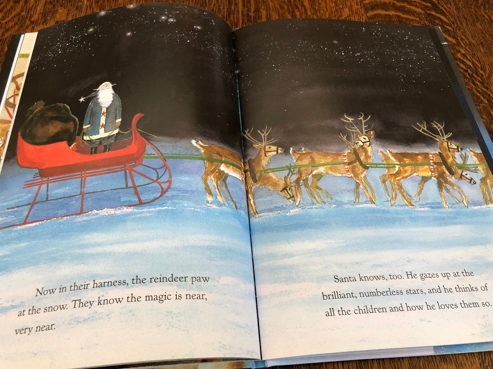Childrens Book, the Christmas Magic, Lauren Thompson, Jon Muth, Gift ...