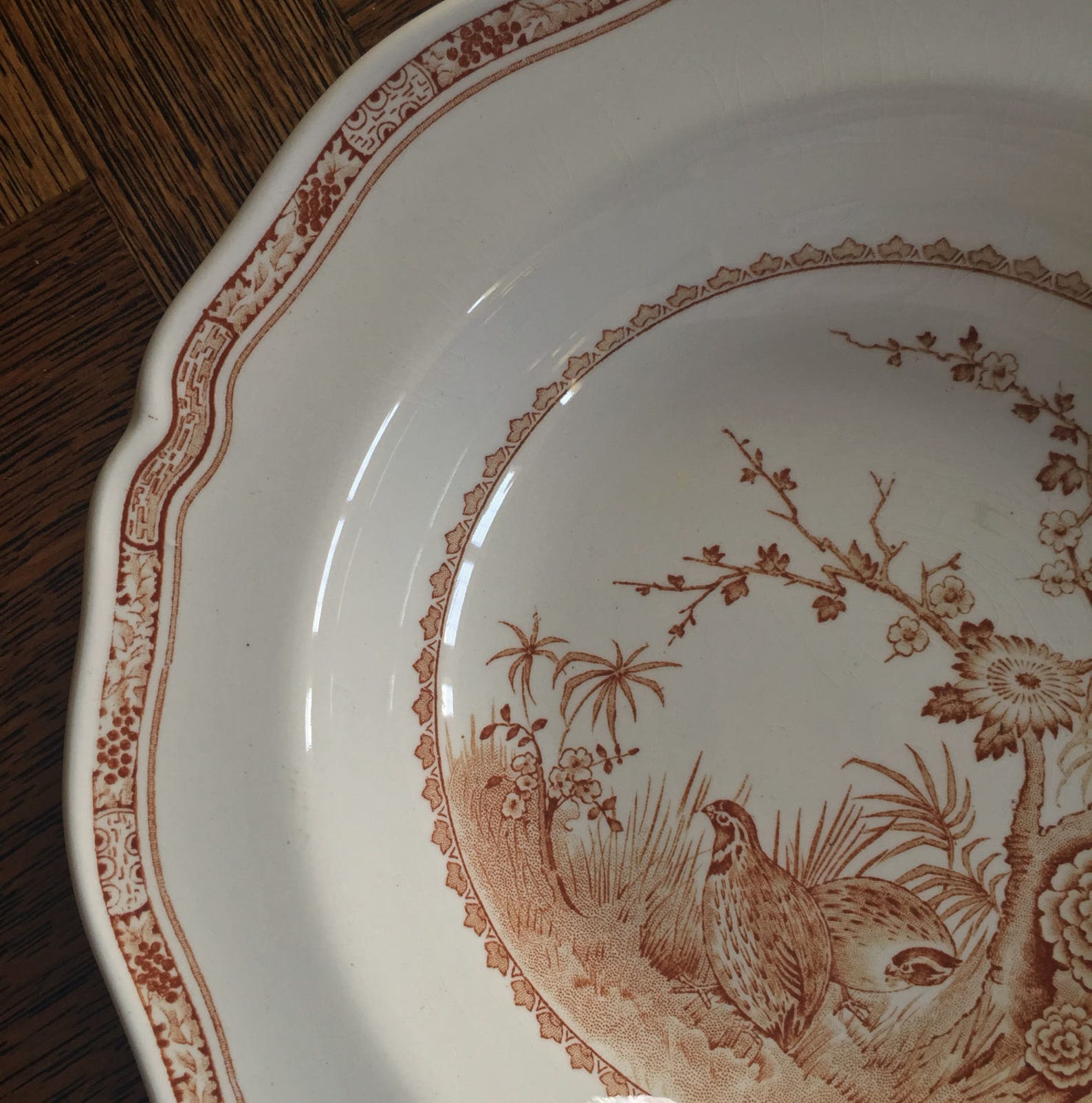 Antique Shallow Soup Bowl Furnivals Quail England - Etsy