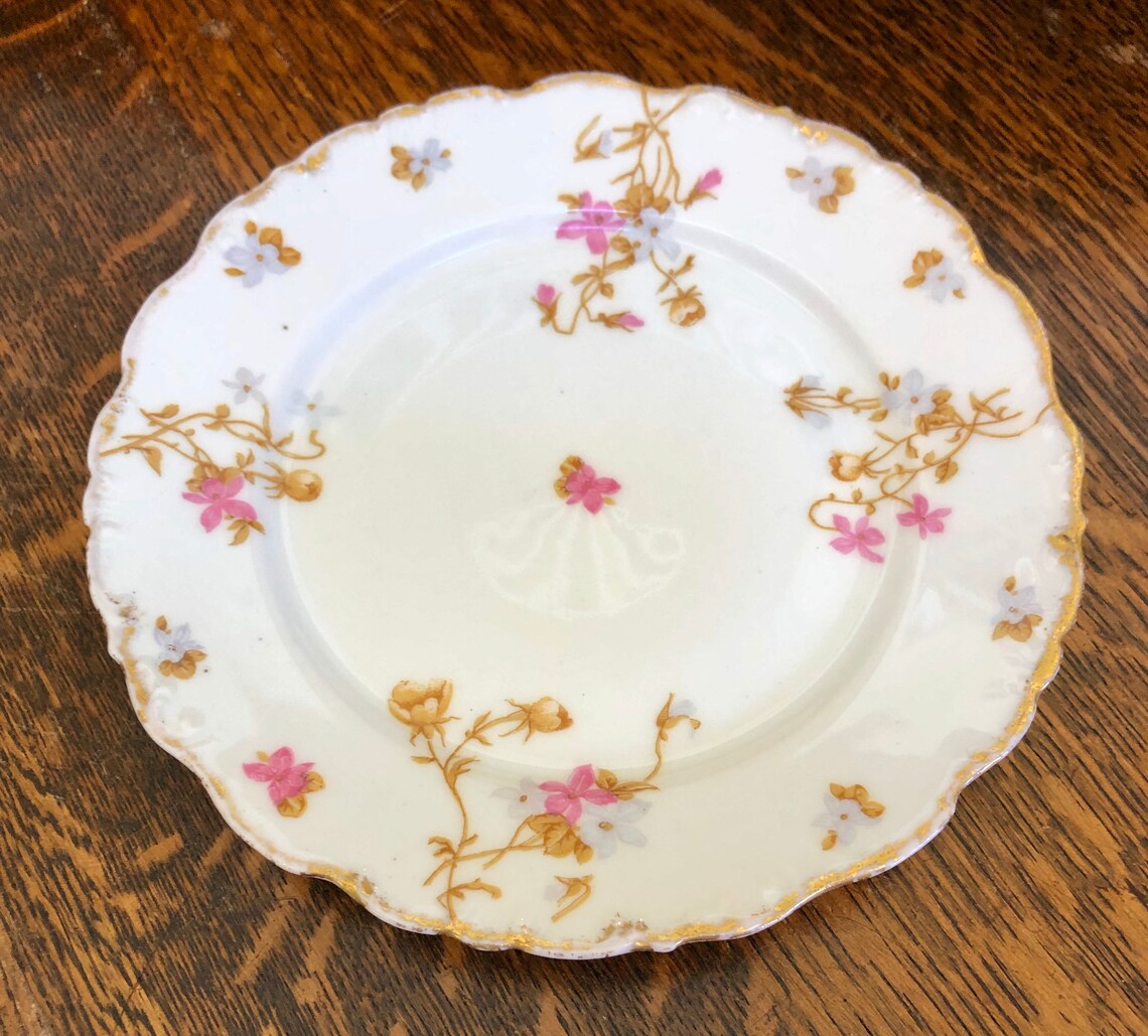 Antique Limoges Plate, *elite Limoges Plate, Floral, Gold, Limoges ...
