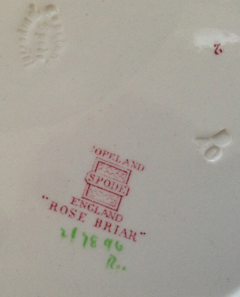 Copeland Spode Dinner Plate, Rose Briar, England, Spode, Wedding Gift ...