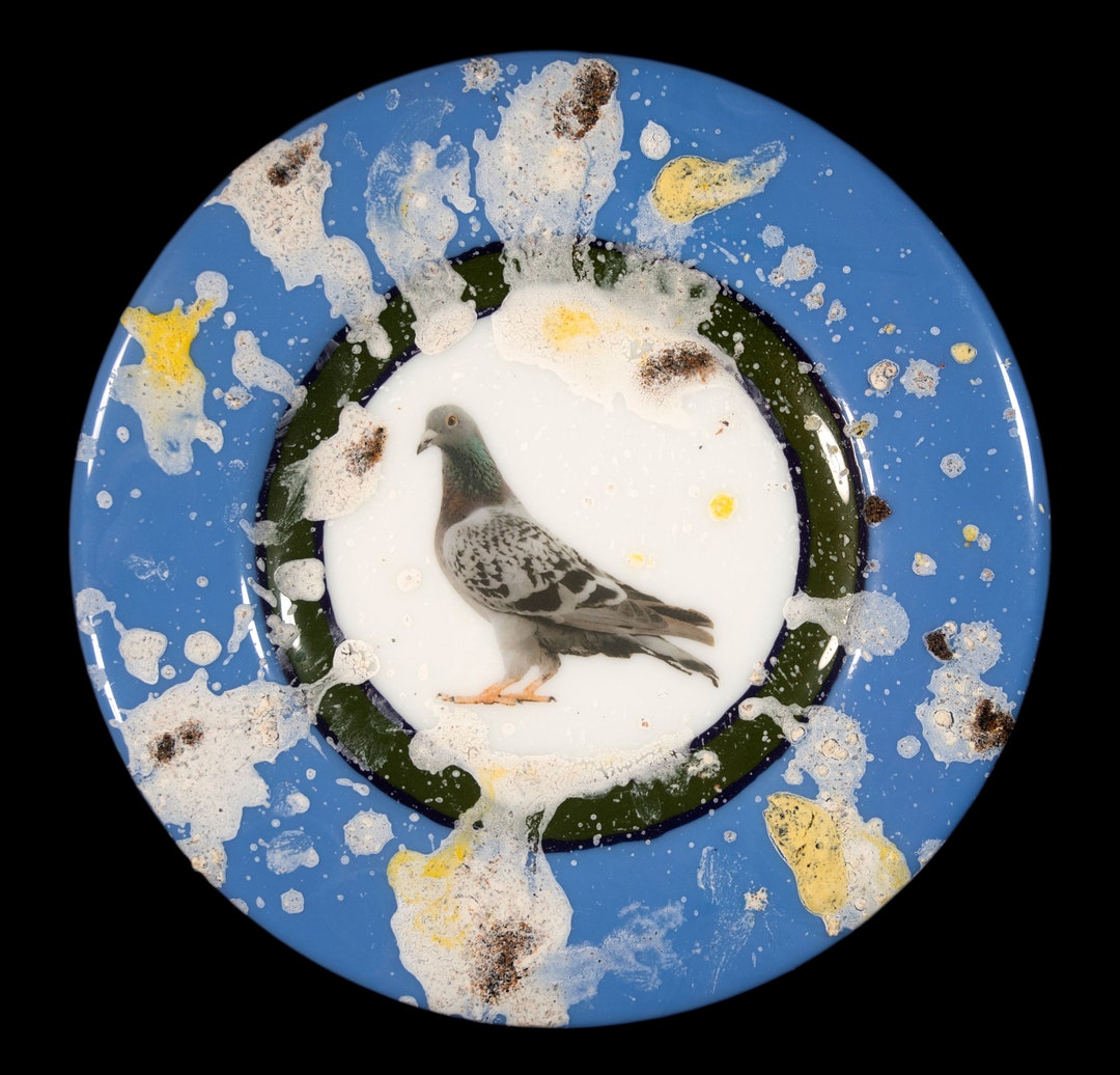 Commemorative Pigeon Plate V2 - Etsy