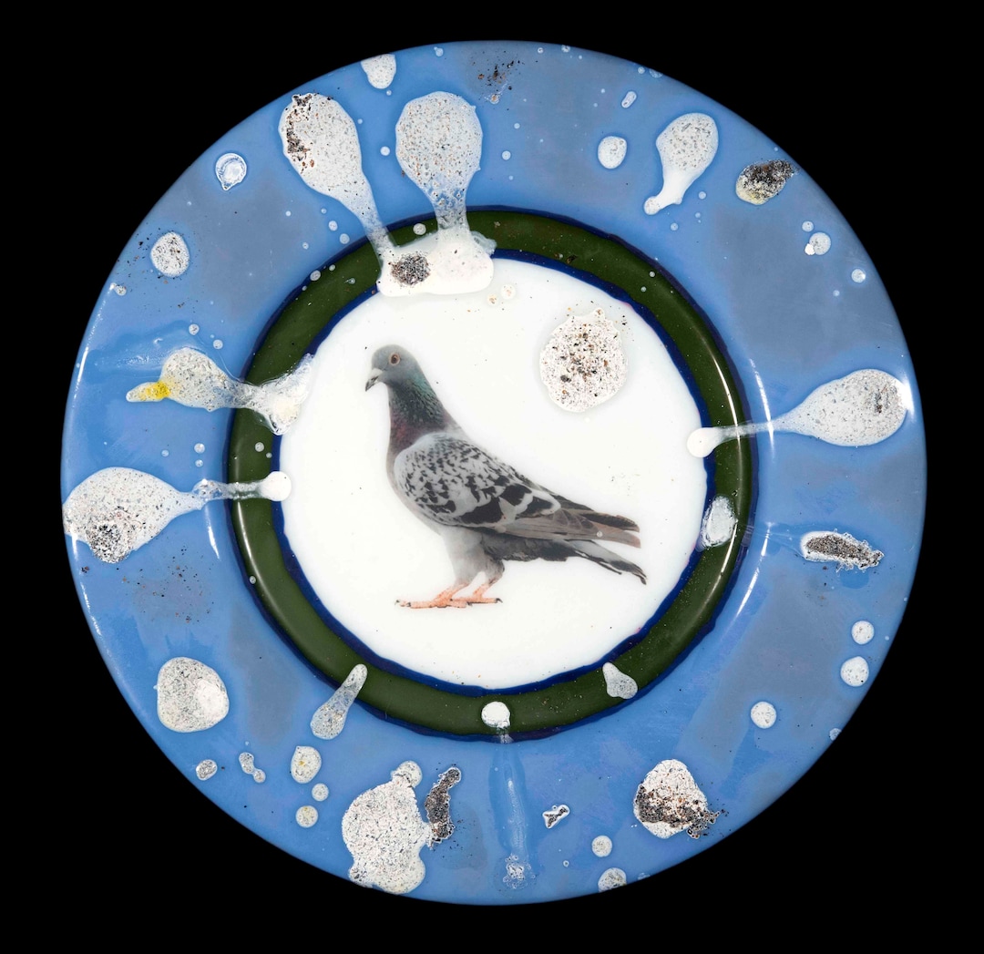 Commemorative Pigeon Plate V3 - Etsy