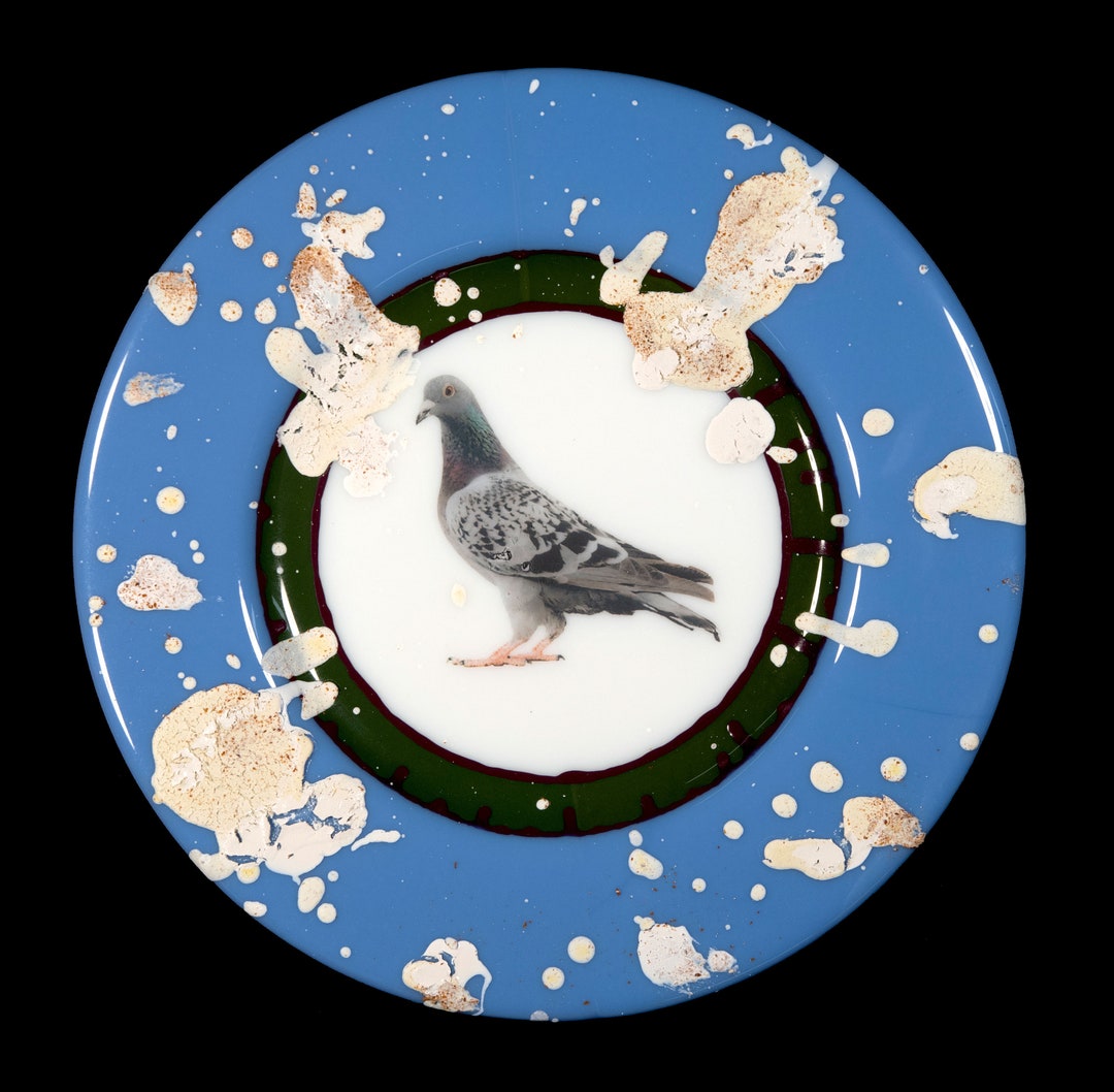 Commemorative Pigeon Plate V1 - Etsy
