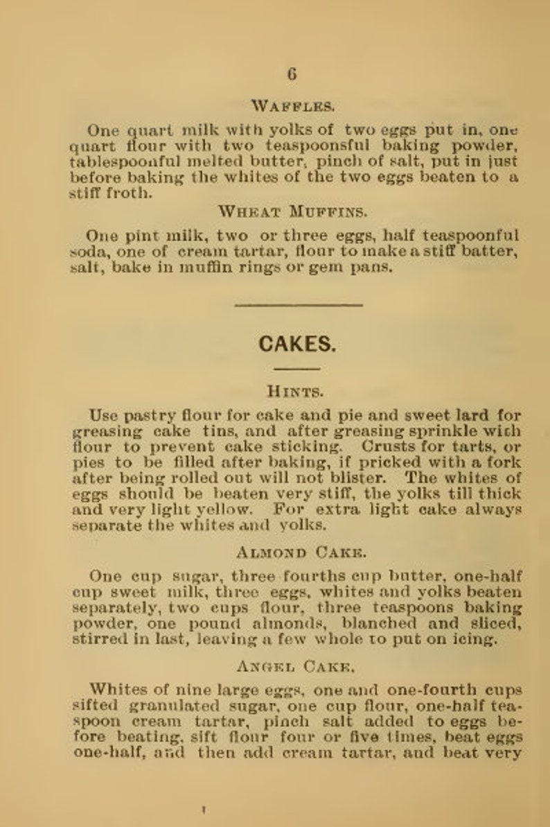 1893 the World's Fair Recipe Book - Digital PDF Copy - Vintage Cookbook ...