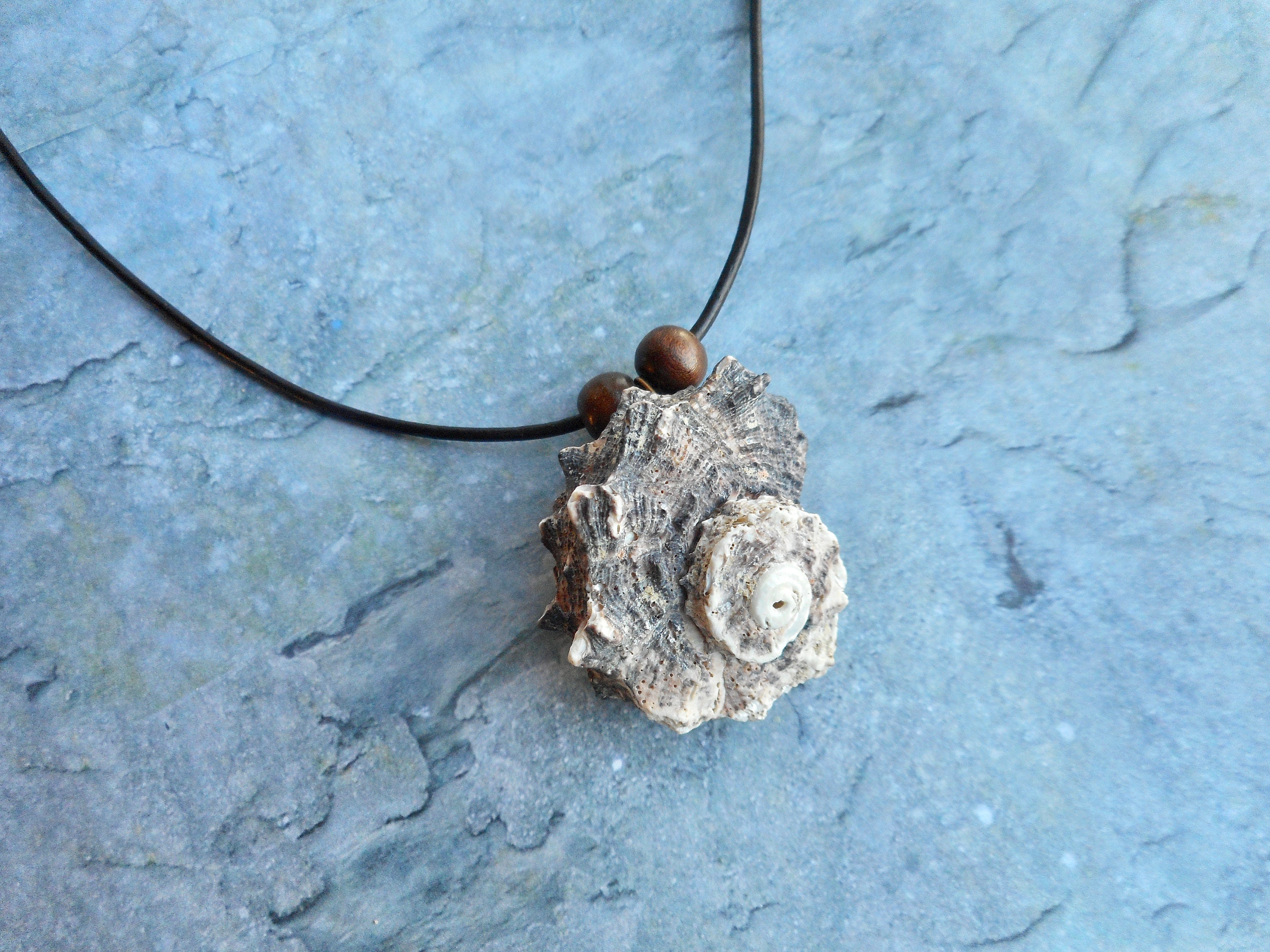Natural Sea Shell Pendant Necklace Nautical Beach Jewelry Handmade ...