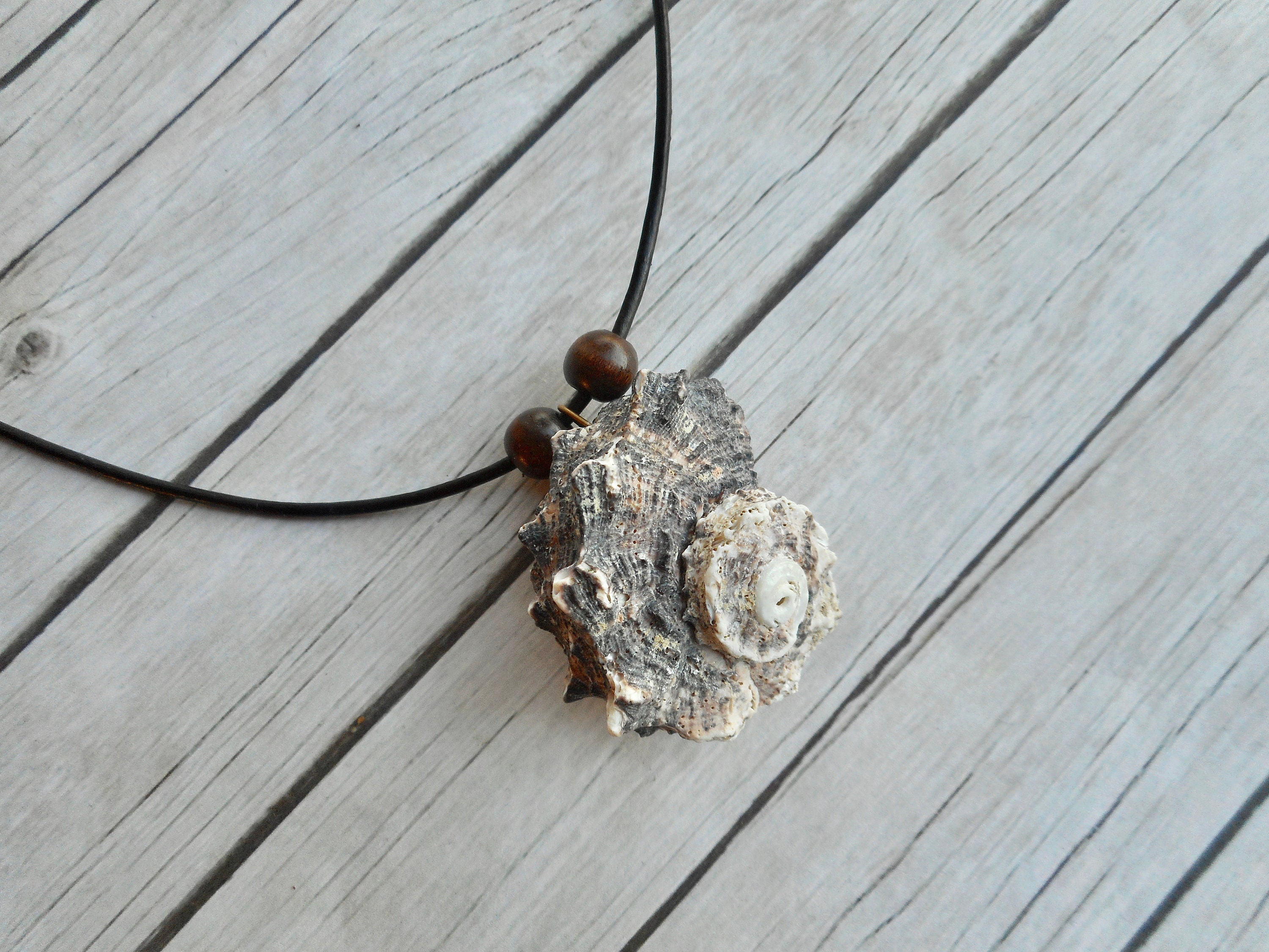 Natural Sea Shell Pendant Necklace Nautical Beach Jewelry - Etsy