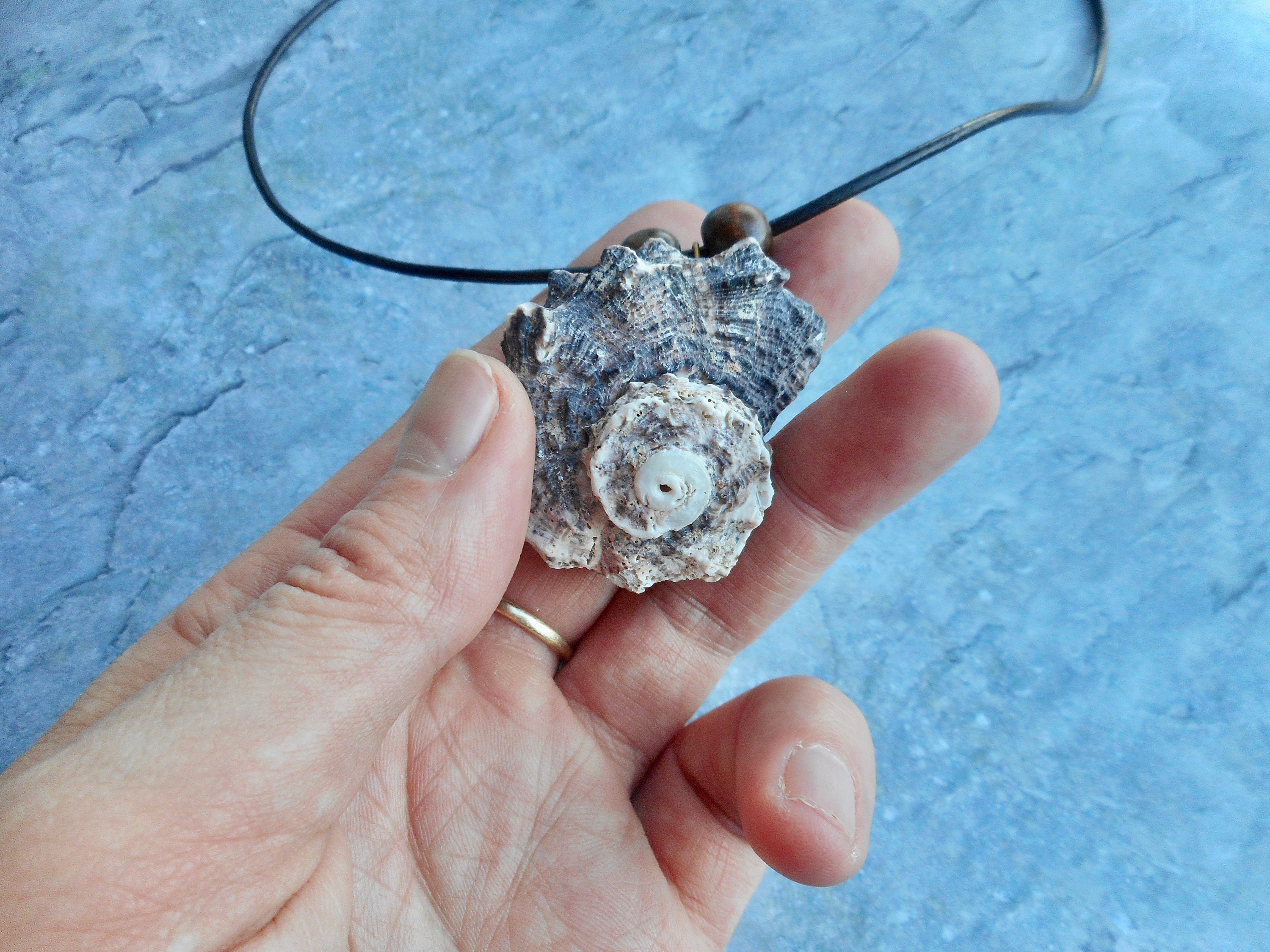 Natural Sea Shell Pendant Necklace Nautical Beach Jewelry - Etsy