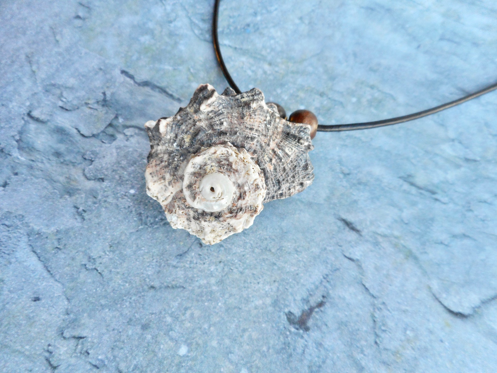 Natural Sea Shell Pendant Necklace Nautical Beach Jewelry Handmade ...