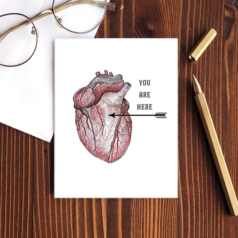 Anatomical Heart - Etsy