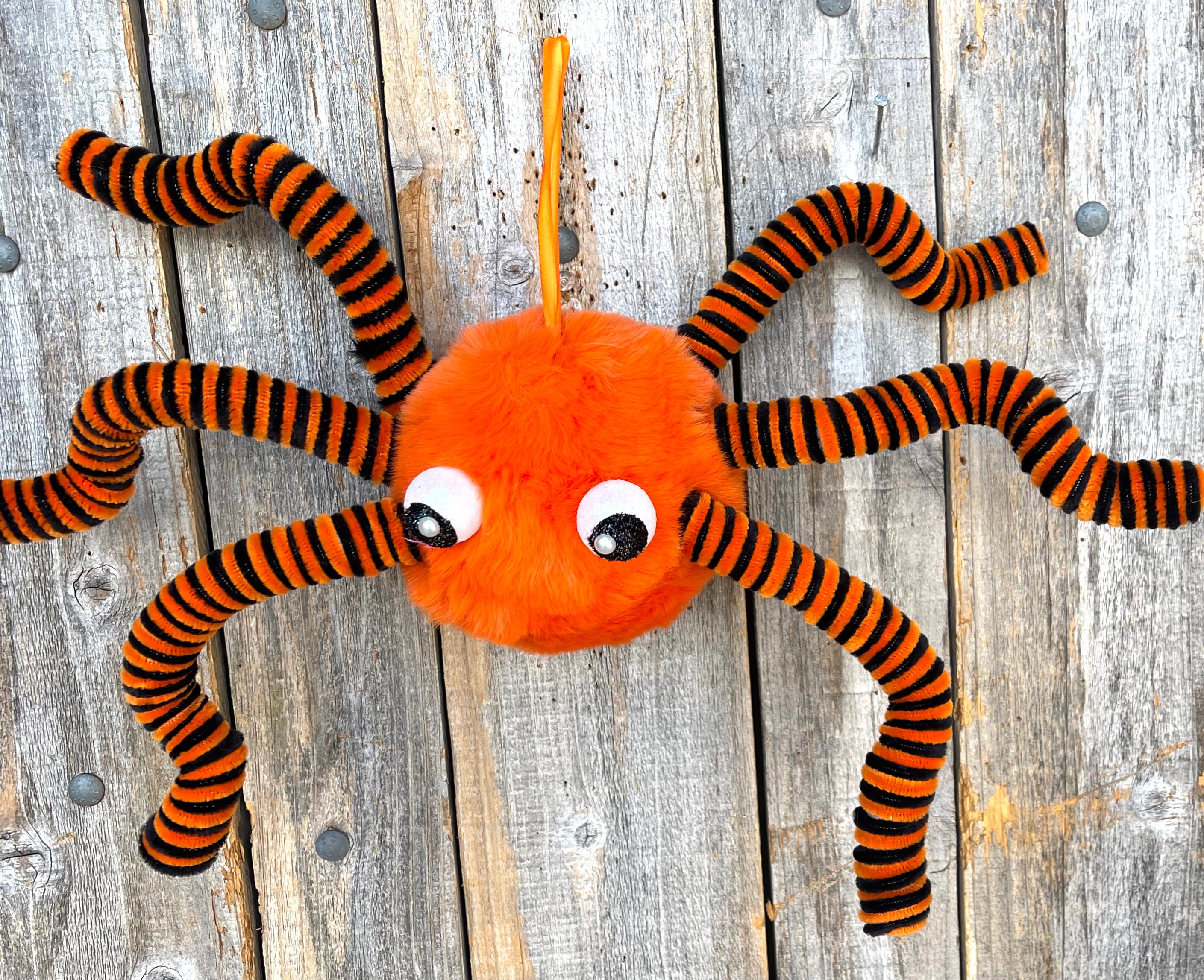 Fuzzy Orange And Black Spider