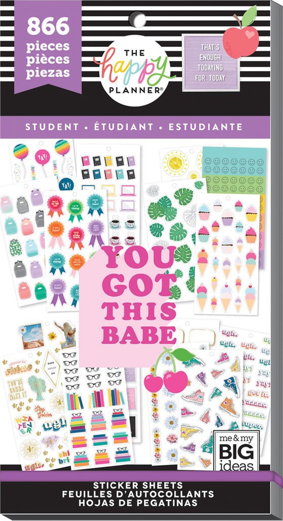 Me and My Big Ideas - the Happy Planner - Value Pack Stickers - Student ...