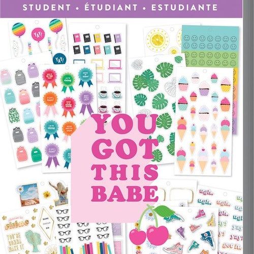Me and My Big Ideas the Happy Planner Value Pack Stickers - Etsy