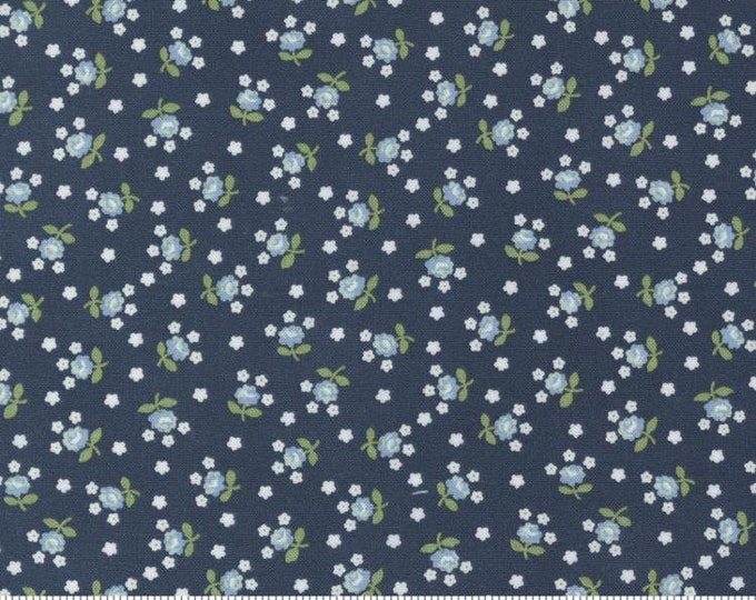 Moda Fabric - Nantucket Summer - Camille Roskelley - Fairground Small ...