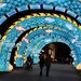 Chinese Festival of Lights Dragon Arch Photography | Set of 3 Digital ...