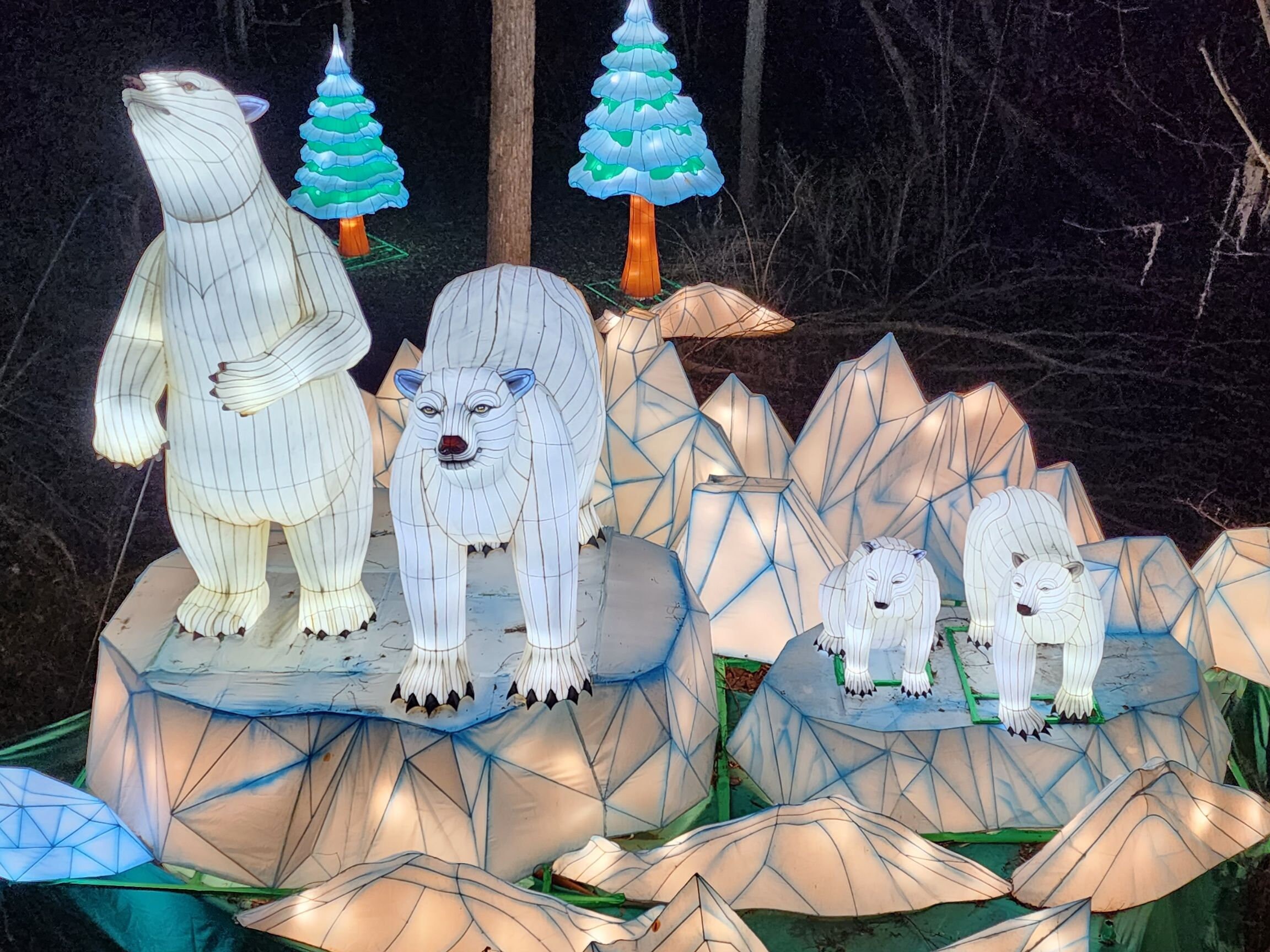 Chinese Festival of Lights Polar Bears Photography Set of 2 Digital ...
