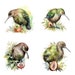 Kiwi Clipart - Watercolor Clipart High Quality Bird Pngs - Set of 4 ...