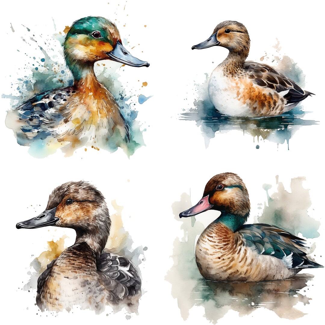 Duck Clipart - Watercolor Clipart High Quality Pngs - Set of 4 ...