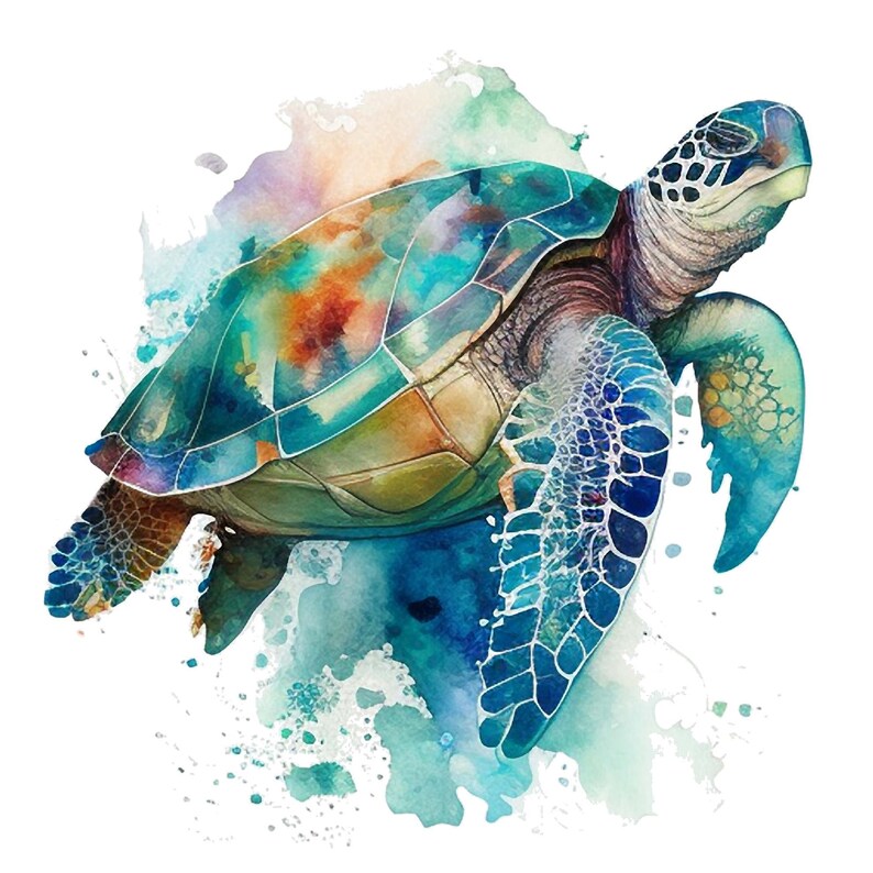 Watercolor Sea Turtle Clipart Set of 4 Digital Download Sea - Etsy Canada