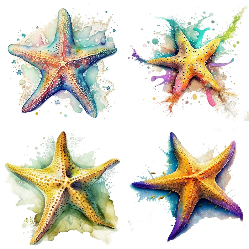 Starfish Watercolor Clipart Set of 4 Pngs for Printable - Etsy