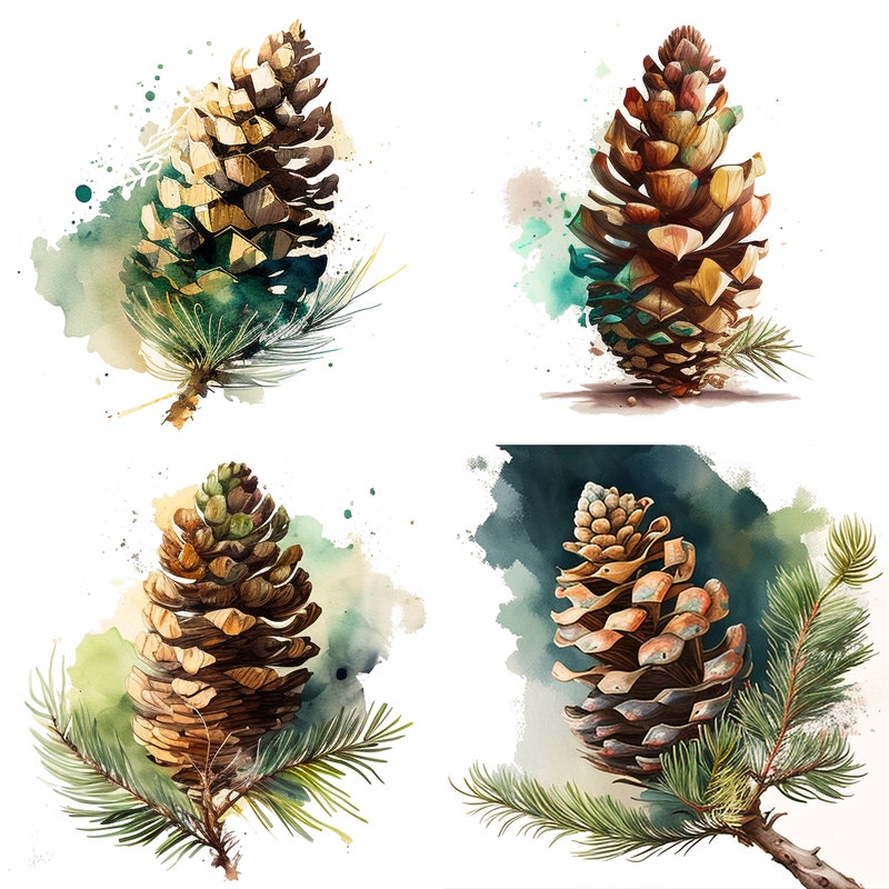 Pine Cone Clipart - Etsy