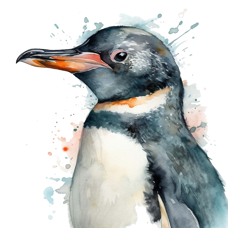 Penguin Clipart Watercolor Clipart Set of 4 High Quality - Etsy