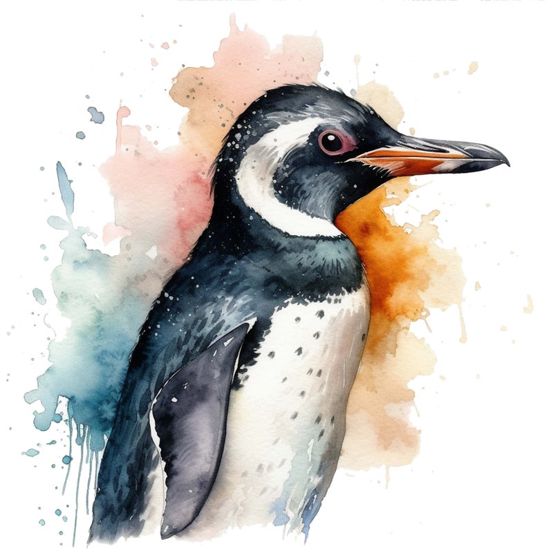 Penguin Clipart Watercolor Clipart Set of 4 High Quality - Etsy
