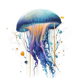 Watercolor Jellyfish Clipart Set of 4 - Sea Life Art for Scuba Diver ...
