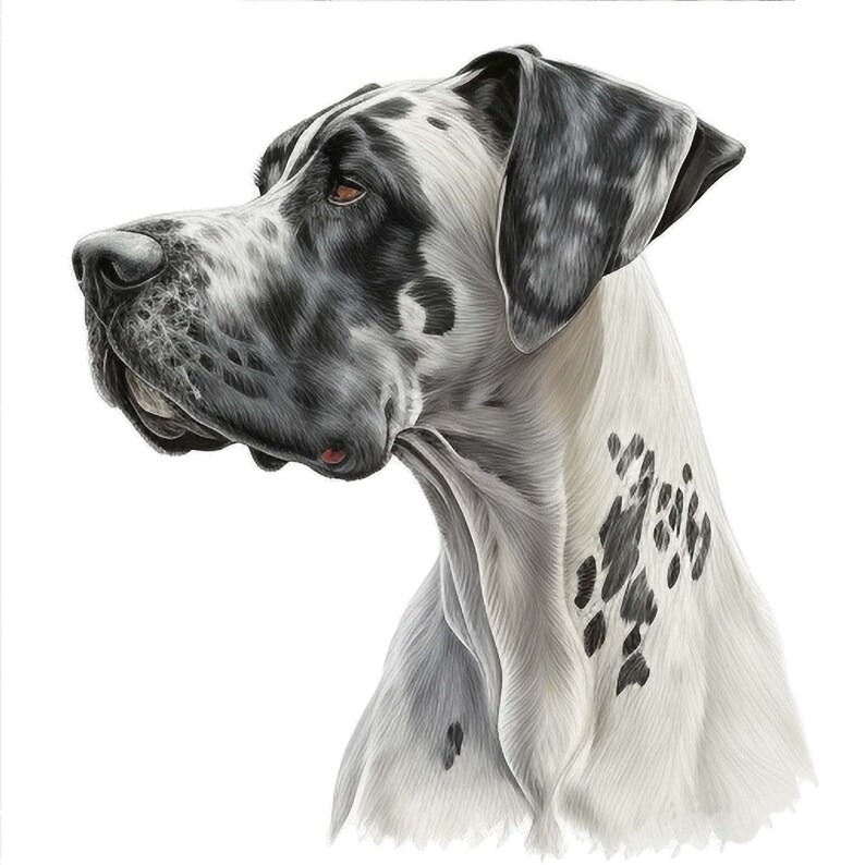 Watercolor Great Dane Portrait Clipart Download Set of 4 Files for ...