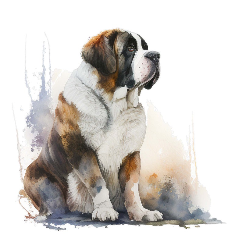 Watercolor Saint Bernard Portrait Clipart PNG Digital Download - Etsy