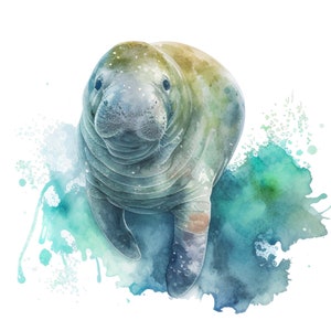 Manatee Clipart Set of 4 Watercolor Sea Creatures Download Sea Cow ...