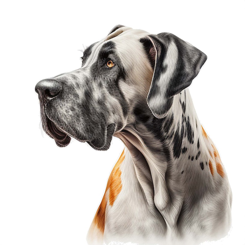 Watercolor Great Dane Portrait Clipart Download Set of 4 Files for ...