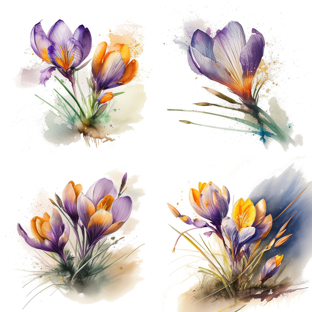 Set of 4 Printable Crocus Flower Botanical Watercolor Art, Spring and ...