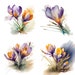 Set of 4 Printable Crocus Flower Botanical Watercolor Art, Spring and ...