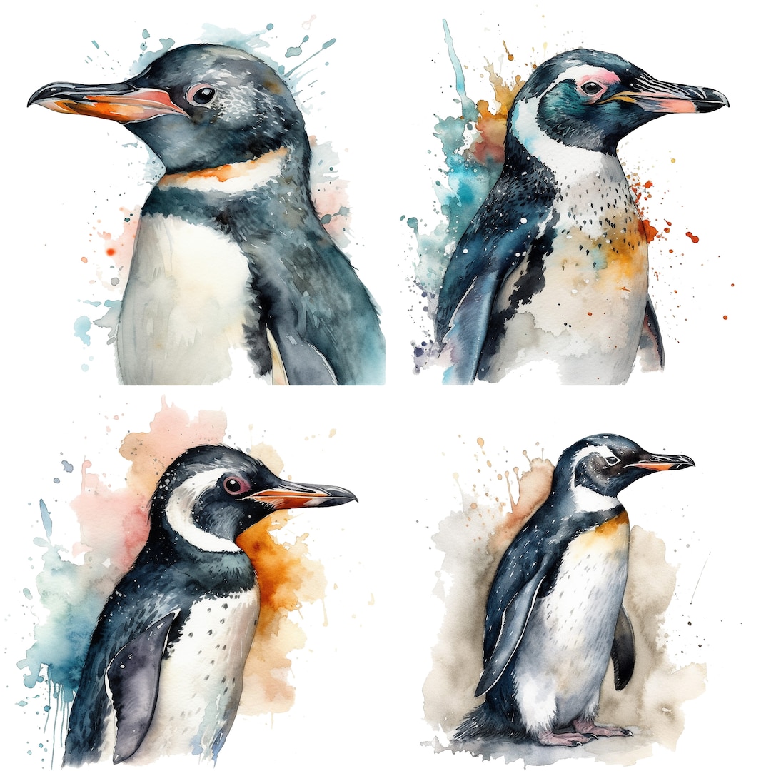 Penguin Clipart - Watercolor Clipart Set of 4 High Quality Pngs ...