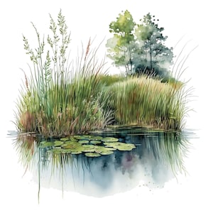 Watercolor Wetlands Clipart Wetland Painting PNG Clipart Set of 4 ...