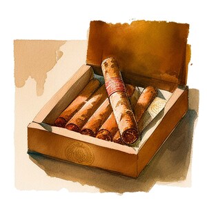 Watercolor Cigar Box Clipart Set of 4 PNG Files - Cigar Lounge Art ...
