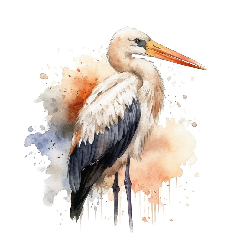 Stork Watercolor Clipart Watercolor Stork Set of 4 PNG - Etsy