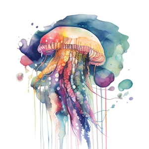 Watercolor Jellyfish Clipart Set of 4 - Sea Life Art for Scuba Diver ...