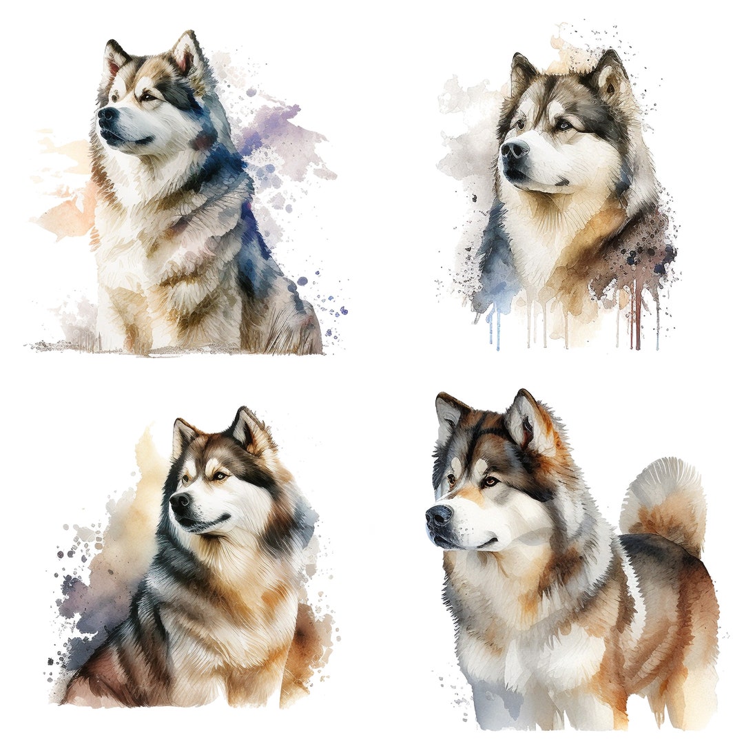Alaskan Malamute Watercolor Portraits Set Clipart Bundle for Commercial ...