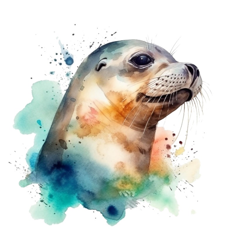 Watercolor Clipart Seal Digital Downloads Seal Clipart Sea - Etsy