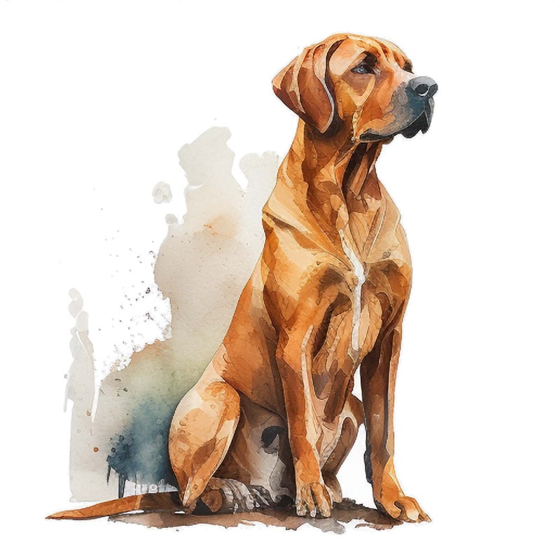 Watercolor Rhodesian Ridgeback Portrait Clipart PNG Digital - Etsy