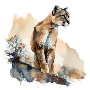 Mountain Lion Watercolor Clipart Set of 4 - Commercial Use PNG Digital ...